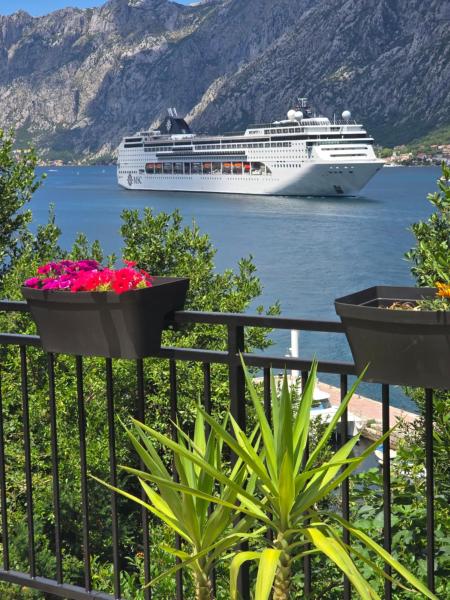 Apartman Jelena - Kotor