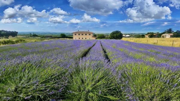 Terre Di Vulci Fiora - Montalto di Castro
