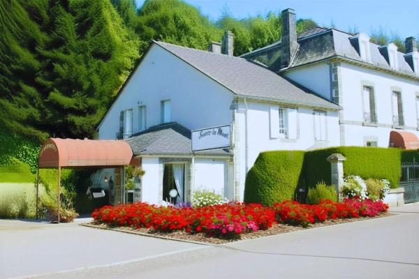 La Source Du Mont - Cantal