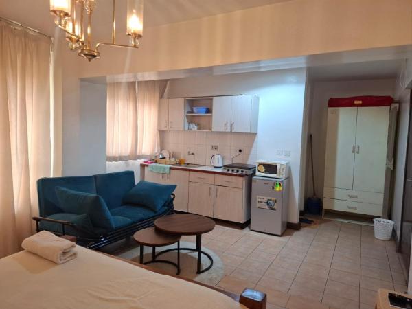 Executive Express Rooftop Pool Suites- Ngara - Nairobi