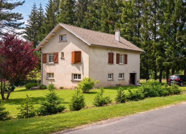 Maison Charmante Au Cœur Du Chambon-sur-lignon Avec Jardin - Saint-Front