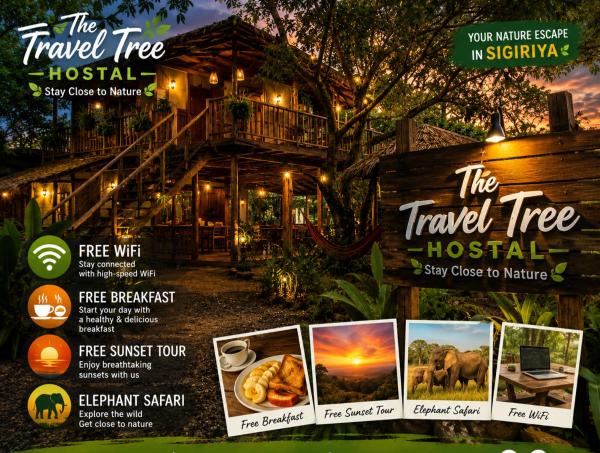 The Travel Tree Hostel - Sri Lanka