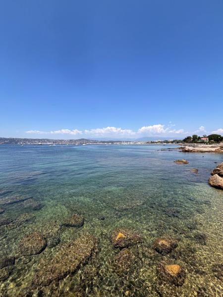 Le Pavillon Du Cap D'antibes - Antibes