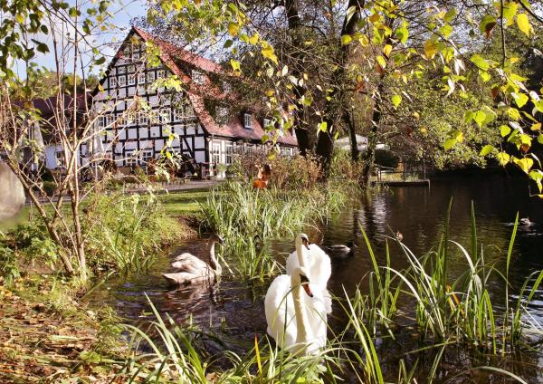 Springbach-mühle Belzig - Brandeburgo