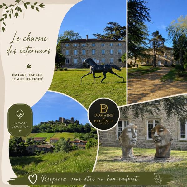Domaine De Bellevue - France