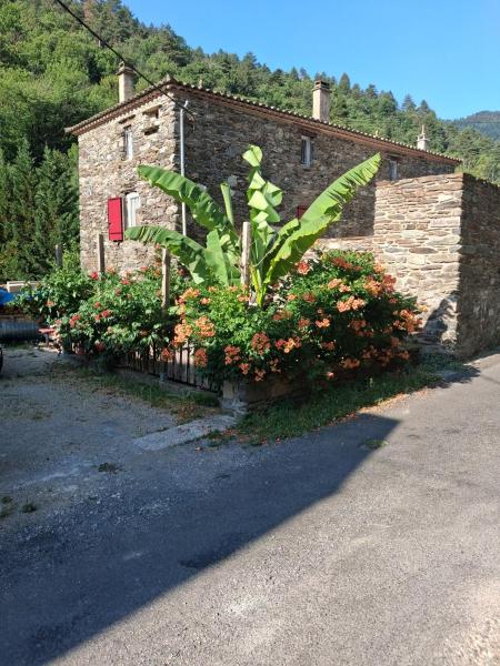 Le Mas Des Anglades - Languedoc-Roussillon