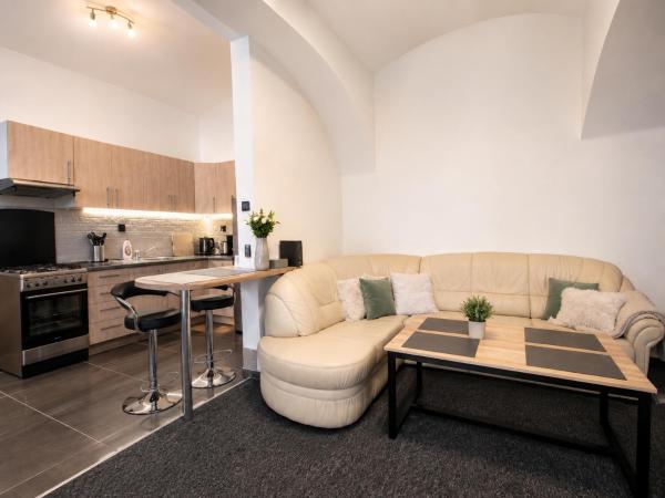 K&p Apartment In The Center - Praga