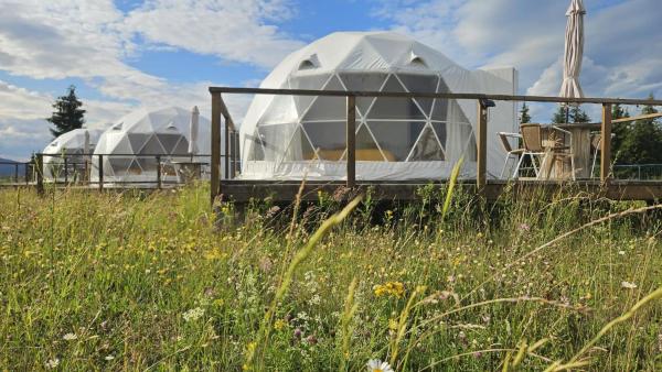 Glamping 4 Us - Toplița