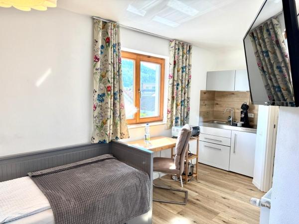 Solostudio - Ferienwohnung Mit Parkplatz Bei Radolfzell Am Bodensee - Radolfzell am Bodensee