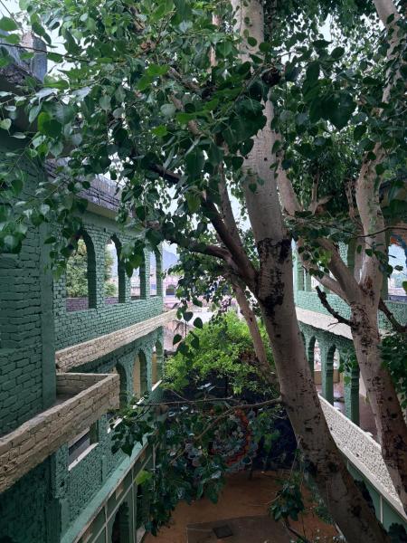 Vyom Hostel - Pushkar