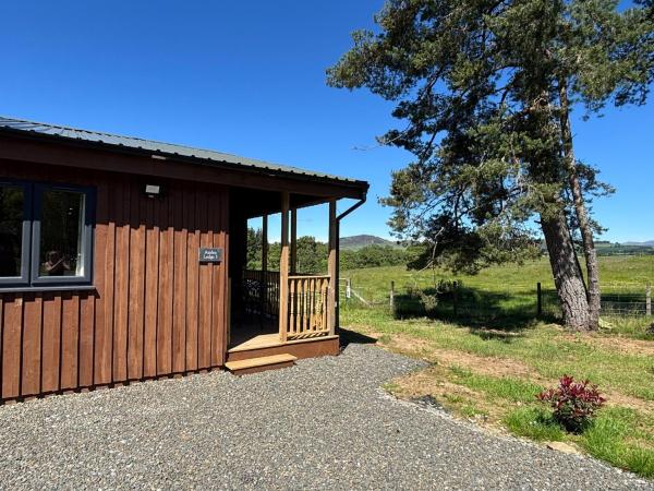 Azalea Lodge 3 With Wood Burning Hot Tub - Schottland