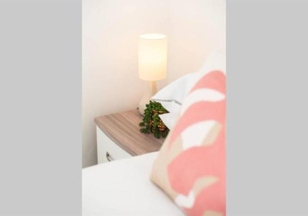 Brynglas Newport Flat Sleeps 8 - Mycityhaven - Newport