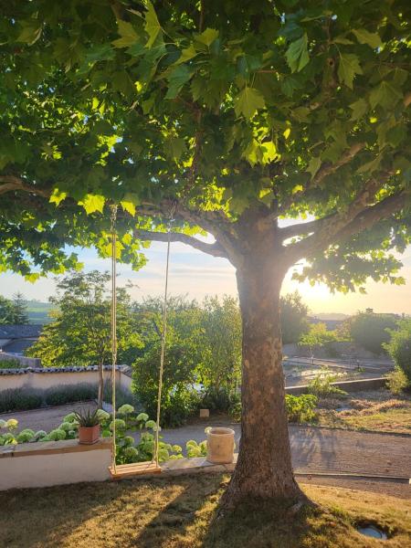 La Balançoire Des Vignes - Mâcon