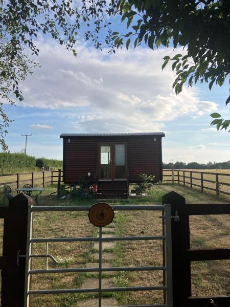Woodpeckers Shepherds Hut - Suffolk