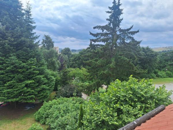 Ferienwohnung Im Oberharz - Braunlage