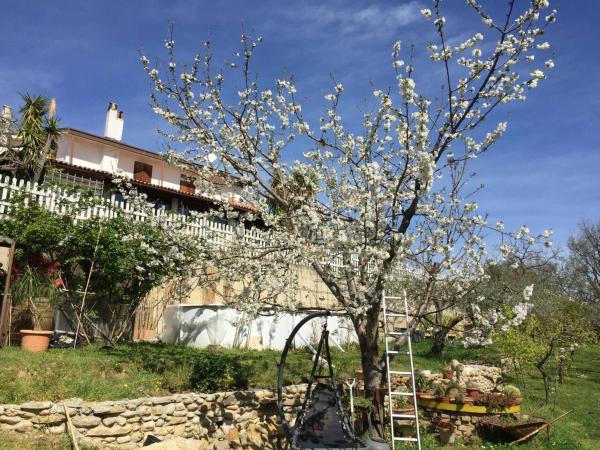 Elegant Villa In Treglio With Private Pool - Lanciano