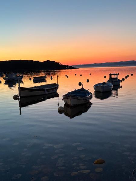 Un Coin De Paradis - Bandol