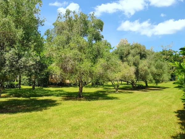 Bungalow Confortable à Santa-lucia-di-moriani 38 M² Jardin Spacieux - Corsica