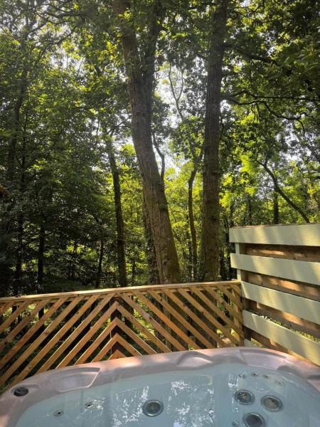 Goldcrest 1-hot Tub-woodland Lodges-carmarthenshire-tenby - Llansteffan