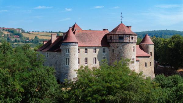 Château Des Chaussins - Vichy