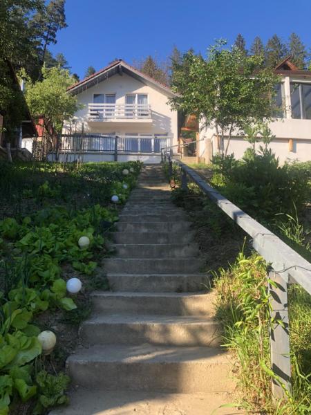 Casa Din Gradina - Zărnești