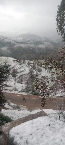 Ibp Estate - Ranikhet