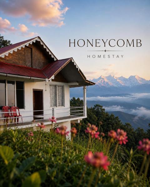 Kagey Honeycomb Homesaty - Lava