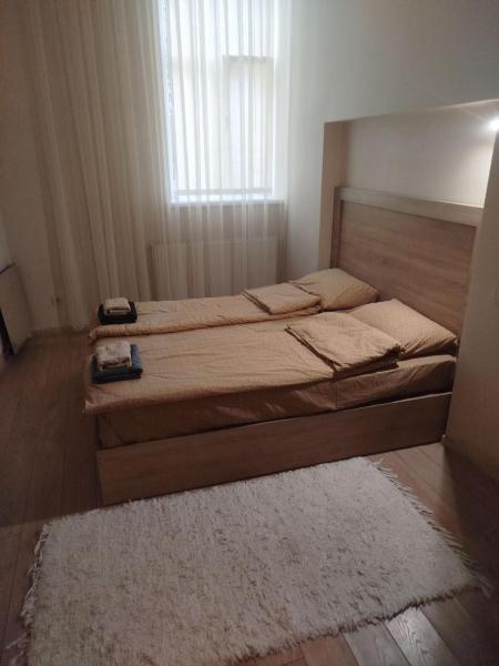 Apartment Lazneva - Lviv
