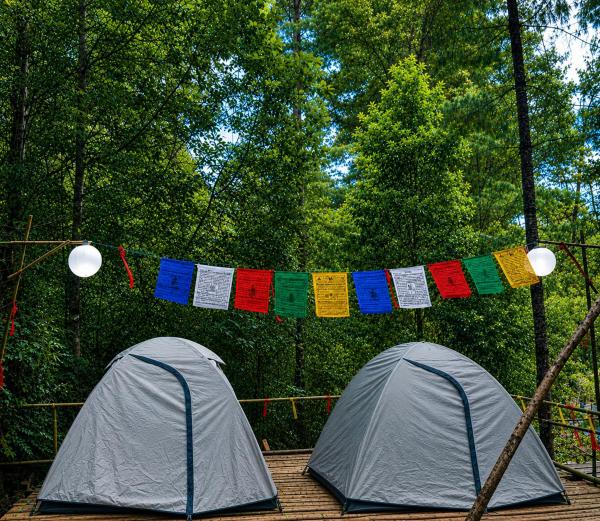 Zion Campsite - Ziro