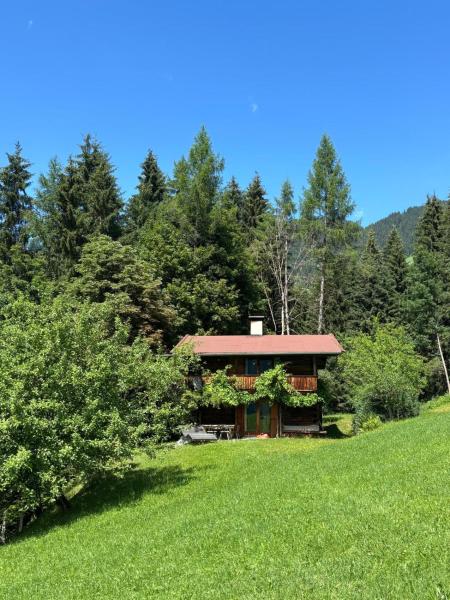 Weinrebenhütte Wildschönau - Wörgl