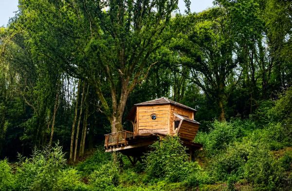 Cabane Dans Les Arbres D'ineas - Logonna-Daoulas