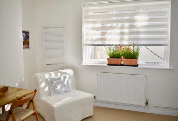 Trendy Studio Flat In Kemptown Village - 로팅딘