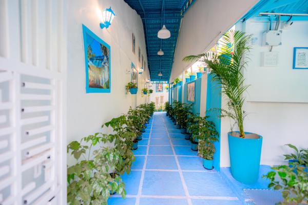 Vllk Resort Near Arambol Beach North Goa - Goa
