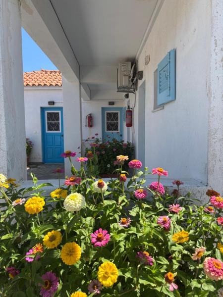 Anthemis Studios - Greece