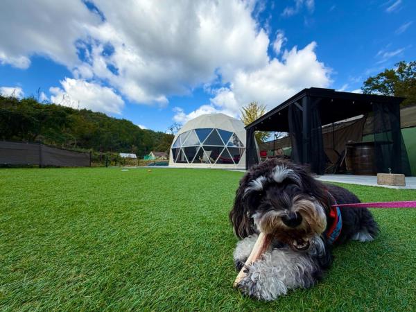 Glamping&bbq Village Takibi Terrace - Vacation Stay 97095v - Sanda