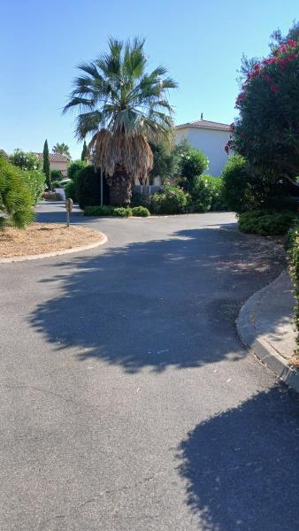 Darling - Agde
