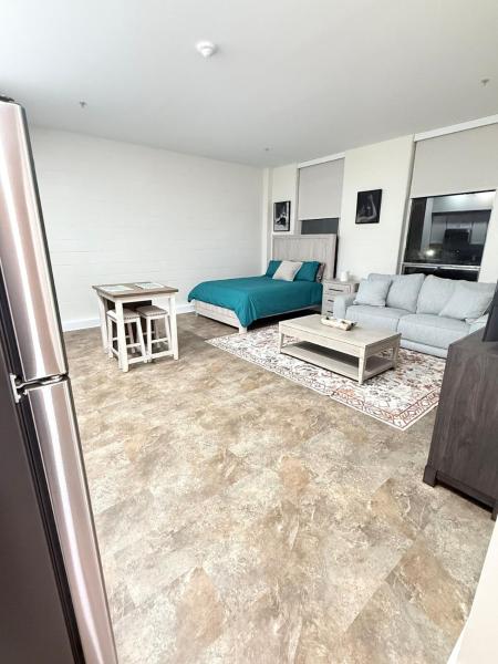 Newly Renovated Studio Apartment In Downtown Roanoke With Free Parking - Blue Ridge, VA