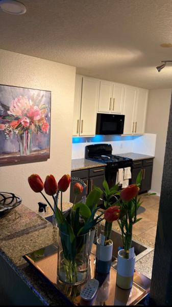 Terminal Cozy Retreat! - Aeropuerto de Houston George Bush (IAH)