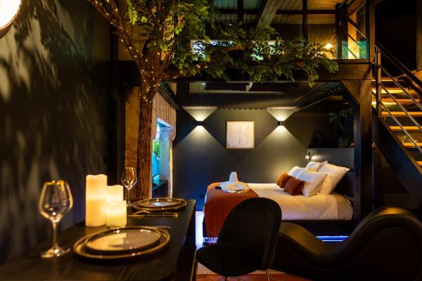L'after Plume - Spa Sauna - Love Room Tours Centre - Tours