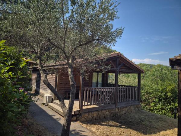 Chalet A Louer Avec Piscine - Pierrefeu-du-Var