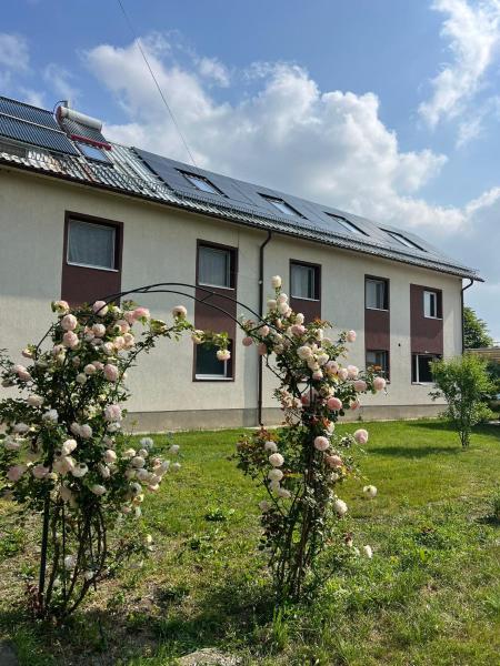 Oasis Retreat Center - Transylvania
