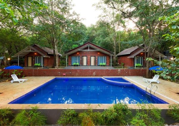 Rain Forest Jungle Stay - Dandeli