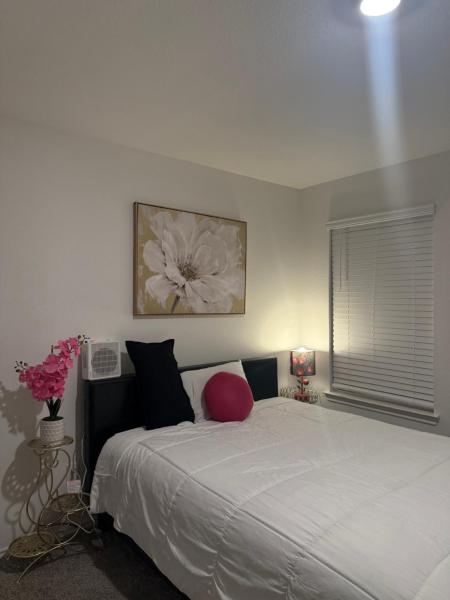 Homely - Sugar Land, TX