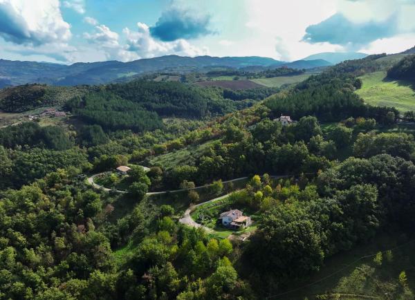Oltrebosco Casa Vacanze - Assisi