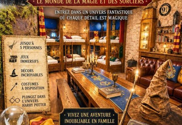 Les Chambres De Paulette - Logements A Themes - Chambre Jack Sparrow - Chambre Koh Lanta - Chambre Harry Potter - Chambre Zen - Perpignan
