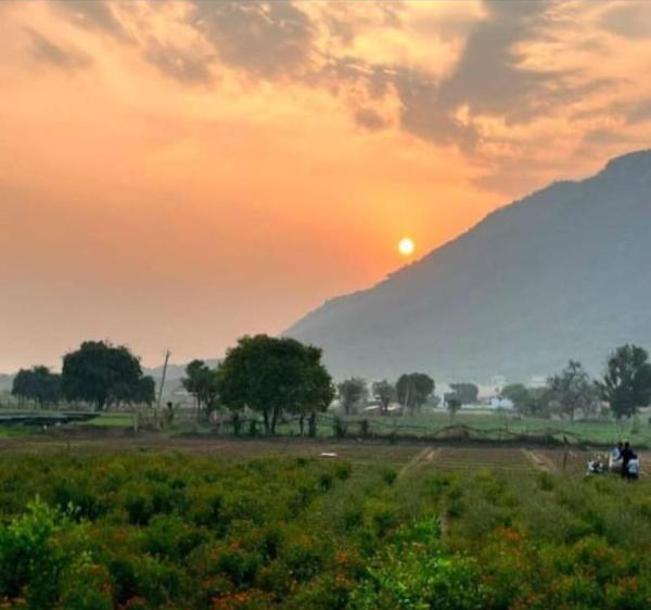 Hotel Divine Palace Pushkar - Rajasthan