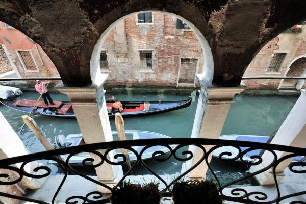 Red Rose - Venedig