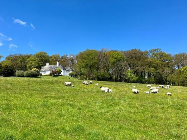 The White House - Okehampton