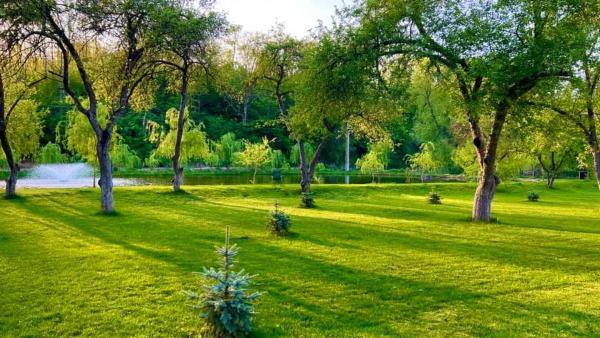 La Pârâul Din Livada - Arad