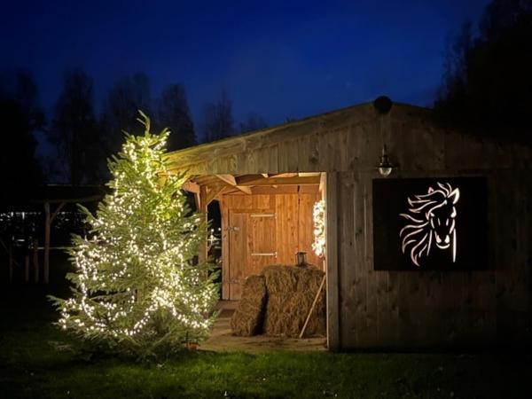 Cabin Margot With Wood-fired Hot Tub In The Garden - Gent